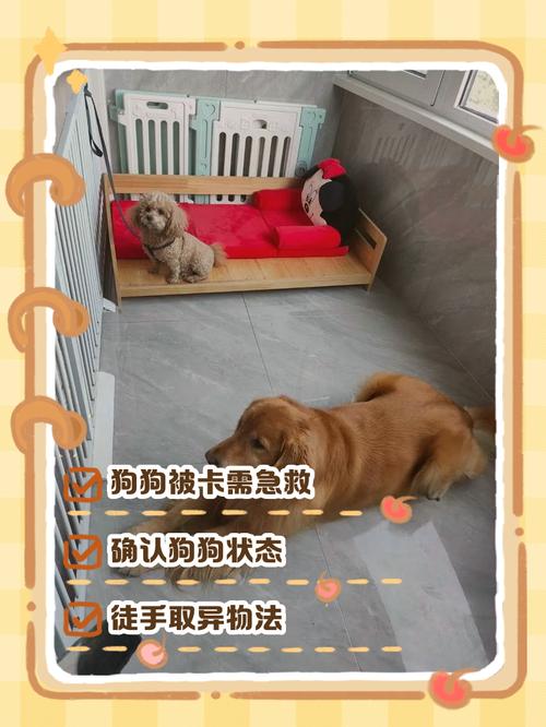 东西被卡住了怎么才能拿出来图标