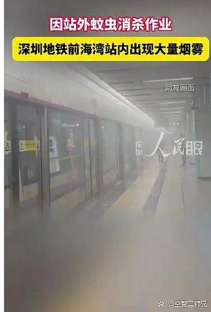 闻到车子烧焦味游戏截图