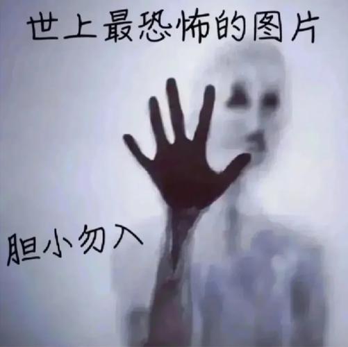 汪师傅接单最害怕三个东西截图