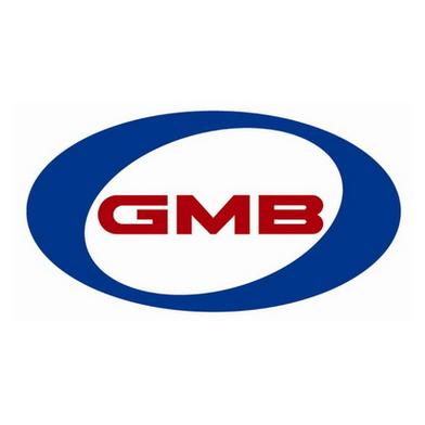 GME半导体公司