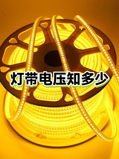 灯带怎么看是多少v的