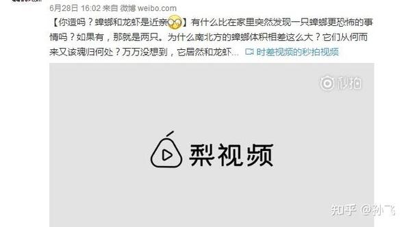 秒拍官网登录图标