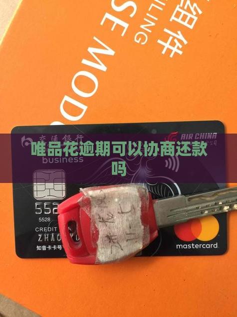 唯品花逾期了可以协商还款吗图标