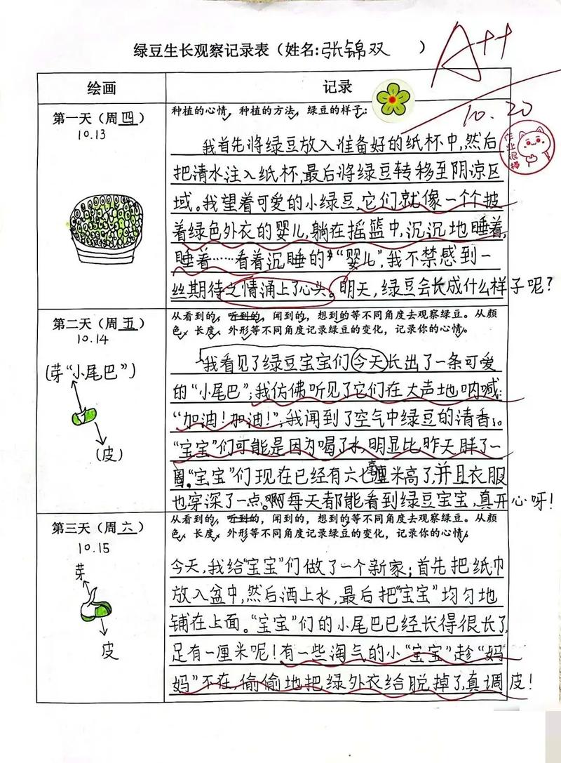 绿豆观察记阅读答案图标