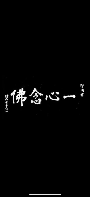最近很火的佛系歌曲图标