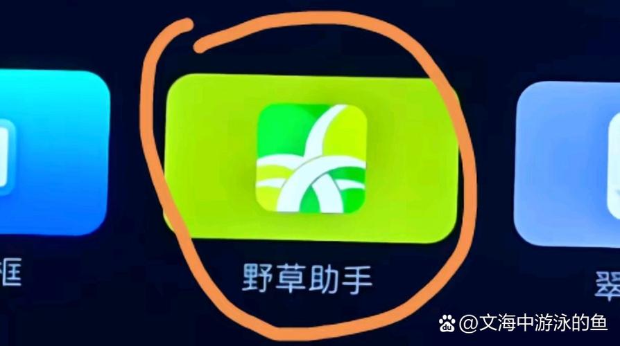 野草助手安装图标