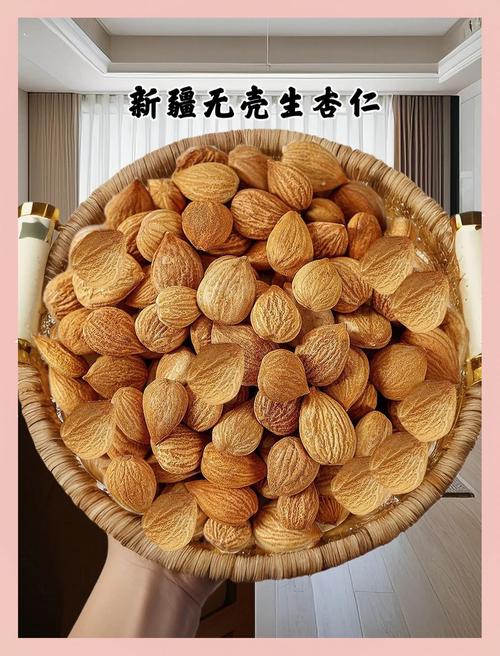 新疆杏仁是南杏仁还是北杏仁截图