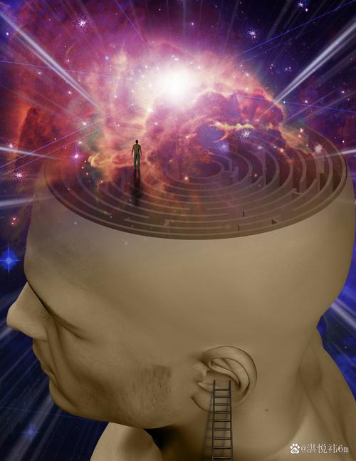 带着光脑重生华山截图