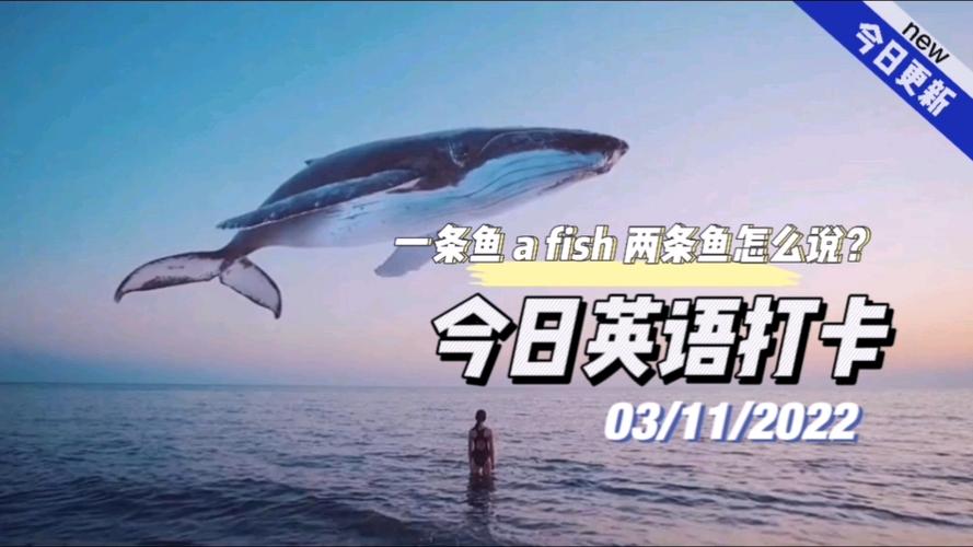 有两条鱼英语怎么说