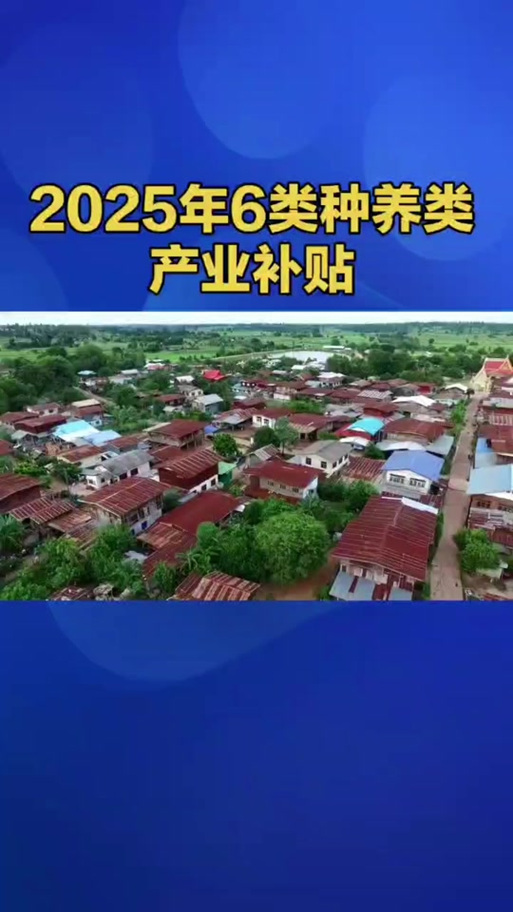 养猪补贴政策图标