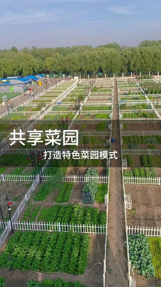 共享菜园设计效果图图标