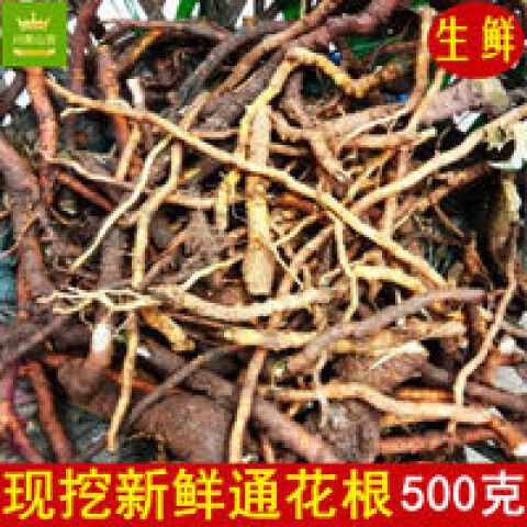 通草和通花根区别图标