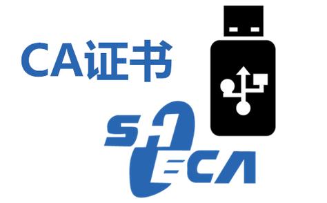报税用的ca证书是什么图标