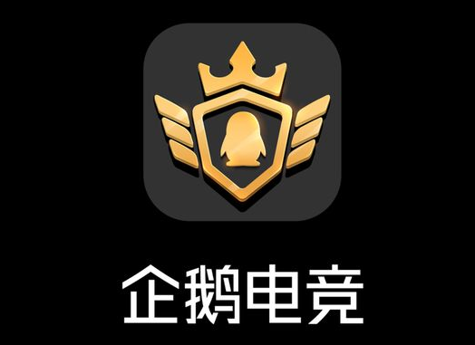 企鹅电竞里钻石换不了金币截图