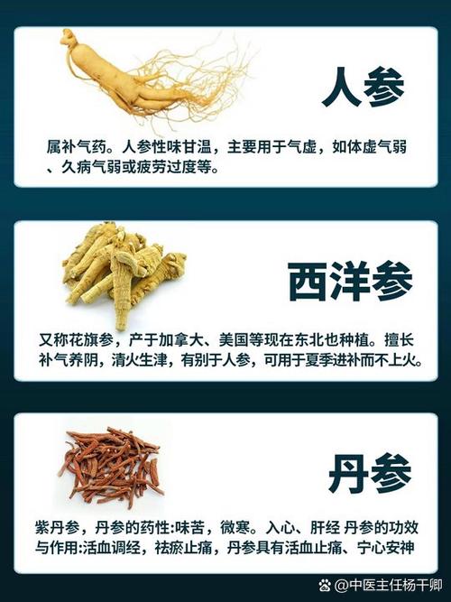 赤参的功效与作用图片截图