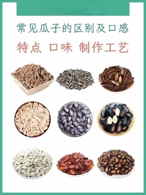 瓜子哪个品种好吃图标