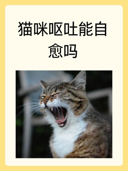 猫拉肚子会自愈吗图标