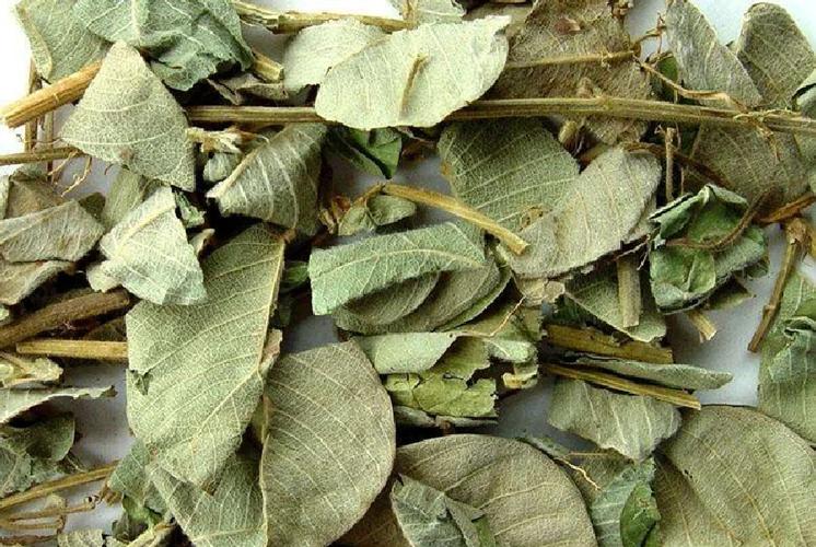 金钱草性味归经功效作用图标