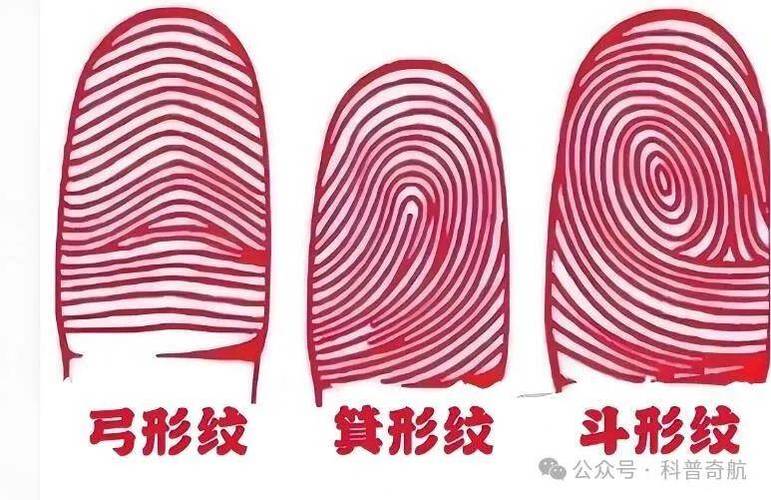 掌心有指纹是什么寓意截图