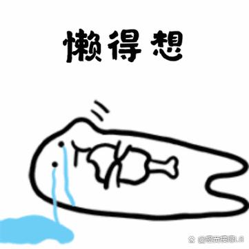 人懒什么都不想干