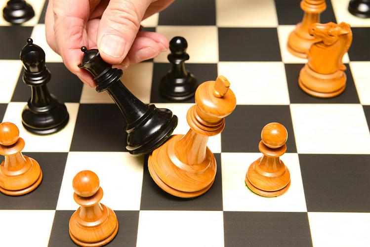 国际象棋check mate截图