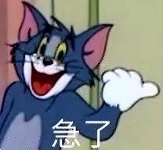猫猫急了