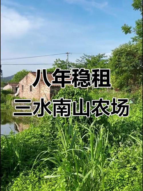 南山农场游戏截图