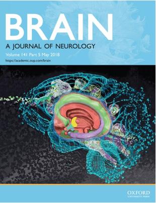 brain期刊是什么水平图标