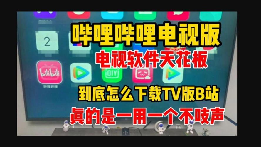 哔哩哔哩 电视安装截图
