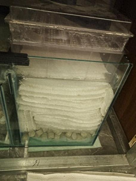 小鱼缸过滤棉正确使用图标