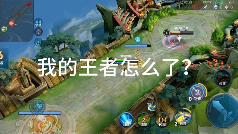 为什么王者伤害显示不出来怎么弄图标