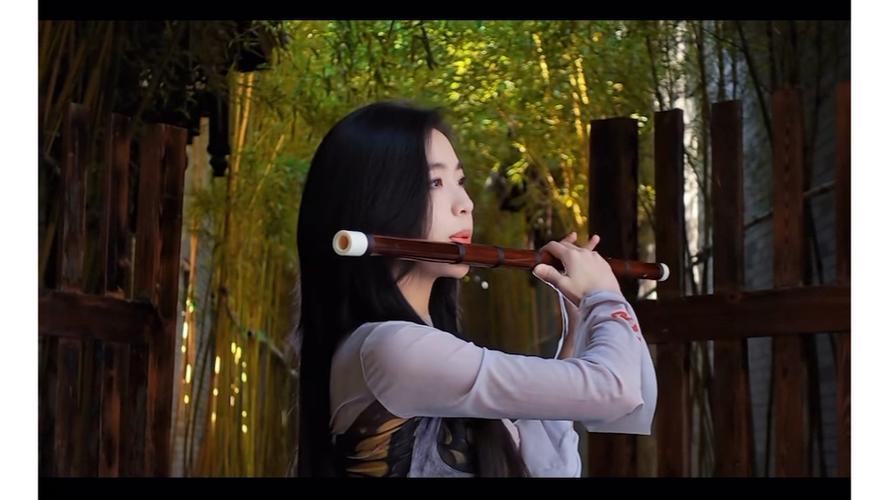 吹笛子视频图标