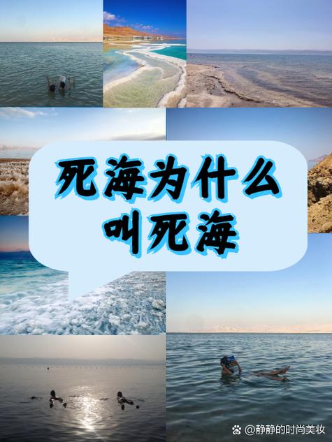 生命是海洋里产生的吗图标