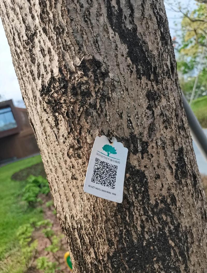 TAGTREE是什么图标
