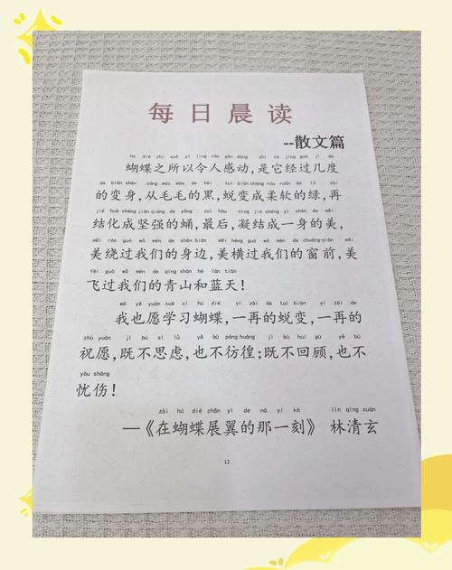 飞阅朗读图标