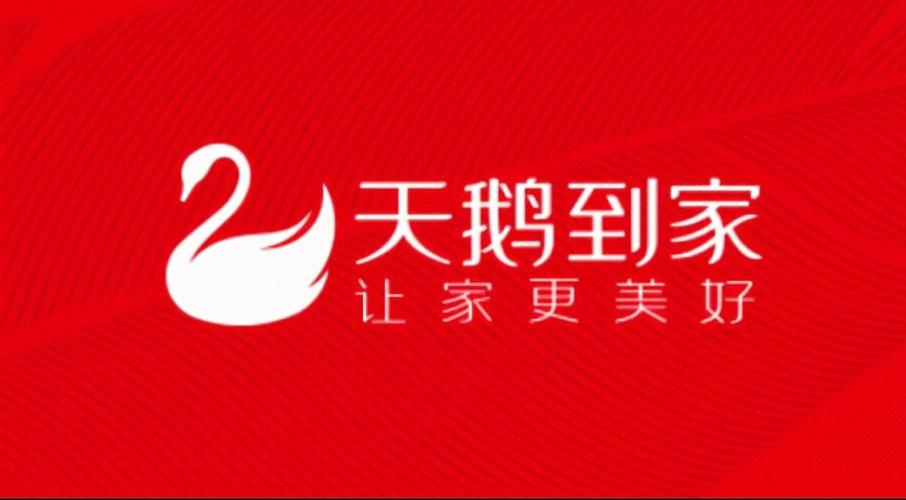 天鹅家政app截图