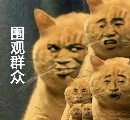 围观专用表情包截图