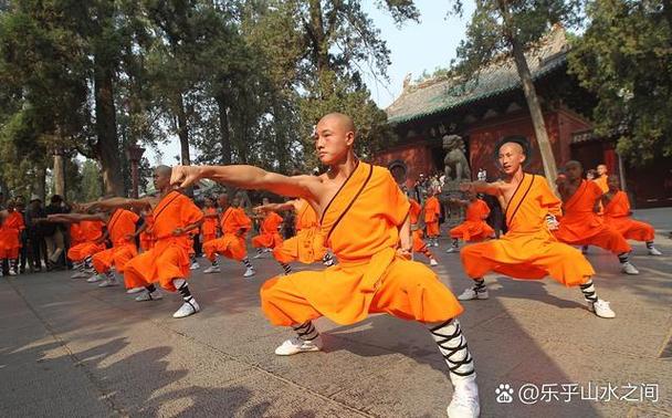 少林寺的简介图标
