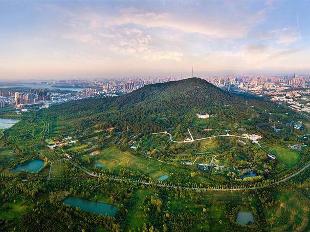 大蜀山图标