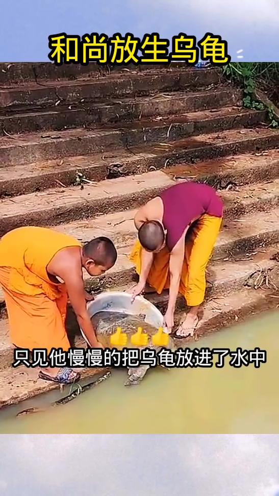 算命说放生乌龟改命截图