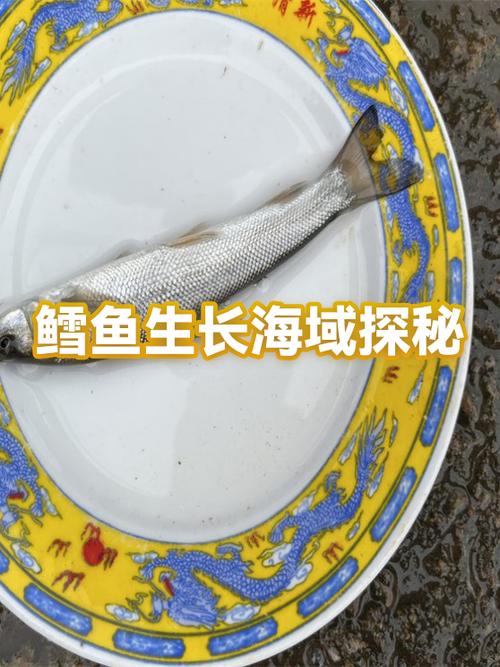 神秘海域pc配置要求图标