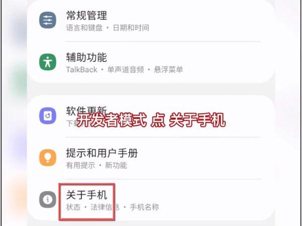 三星怎么进入开发者选项图标
