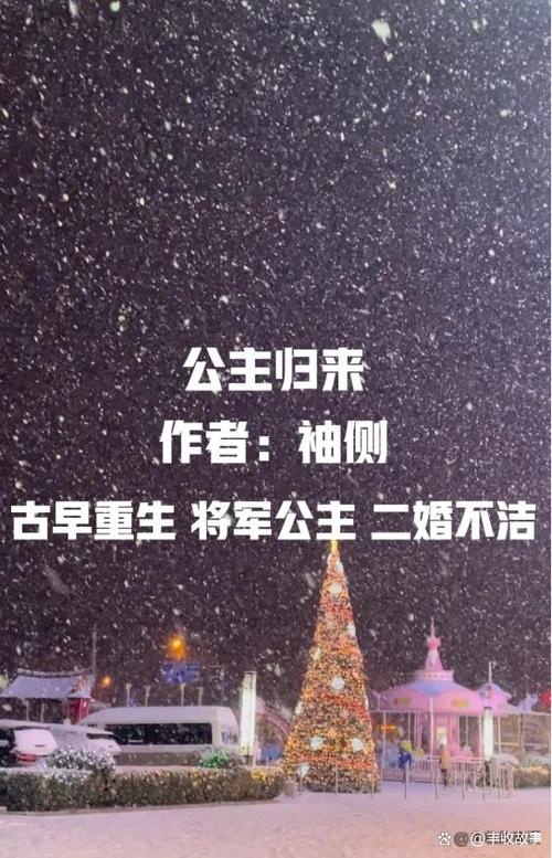 公主归来袖侧图标