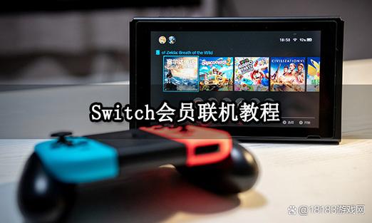 ns联机会员图标