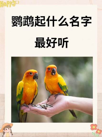 1000个鹦鹉名字吉利的图标