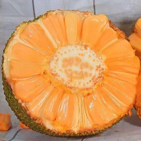 红肉菠萝蜜截图
