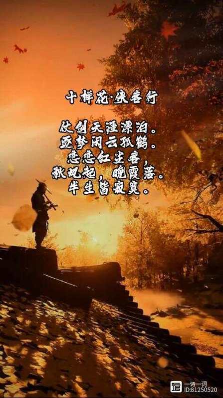 形容侠客潇洒的词语图标