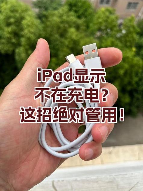ipad插着电源显示不在充电