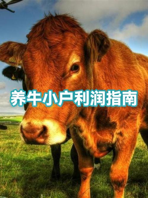 养牛50只一年赚多少钱图标