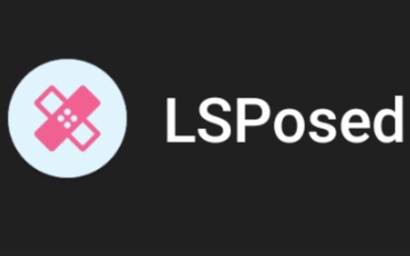锤锤lsposed模块图标